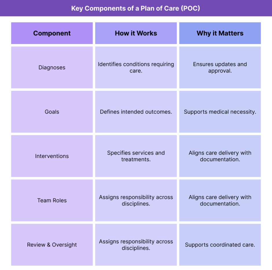 POC in Healthcare: Plan of Care Meaning and Medicare Use